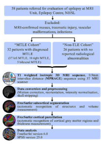 Brain abnormalities in Sri Lankan Patients with Temporal Lobe Epilepsy ...